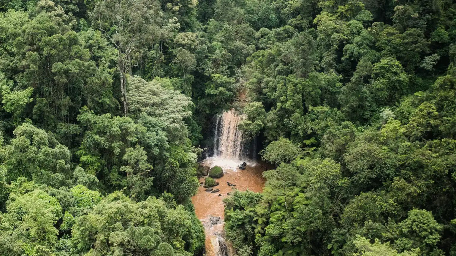 Securing the Future of the Mau Forest: A Conservation Initiative